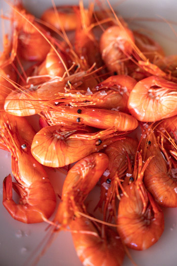 Home [eltrasgudeponzano.com]